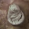 Spiral Wedging: How To Spiral Wedge Clay | Expert Clay